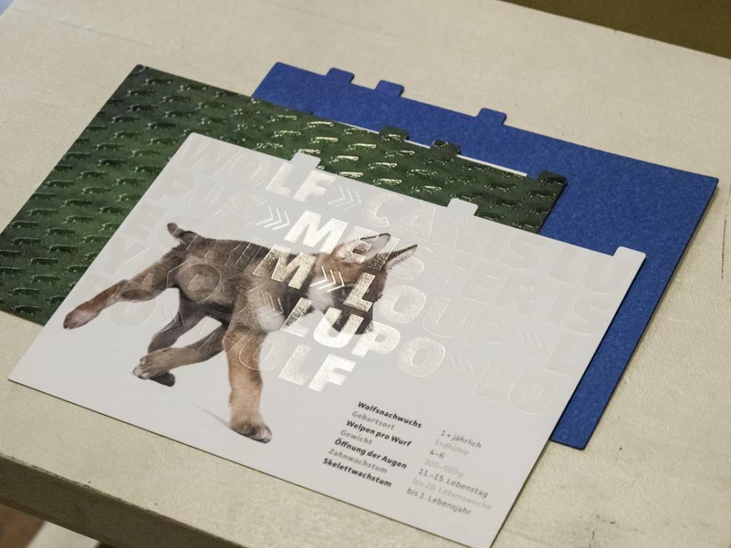 Partieller UV-Lack in matt, glänzend oder strukturiert